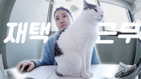 재택근무 운동 술 빙빙 돌아가는 직장인 브이로그 ㅣ 연맥 연태고량주 소주 술먹방 골뱅이탕 냉모밀 돈까스 두부강정 집밥 요리 토스트 중국음식 먹방브이로그 Youtube