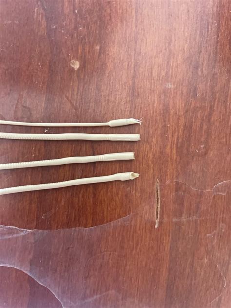 Nozzle Keeps Clogging Rfixmyprint