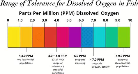 Dissolved Oxygen Do Testing Wet Chemistry Boc Sciences