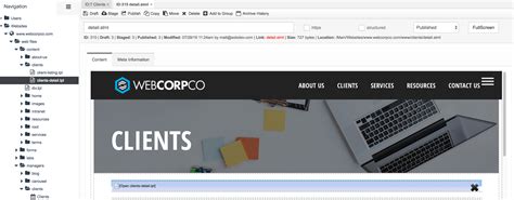 Building An Effective Client Showcase With Solodev