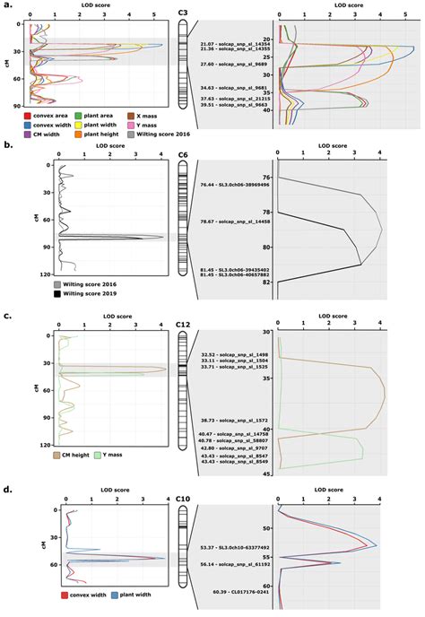 Significant Qtl Clusters On Chromosomes 3 A 6 B 12 C And 10