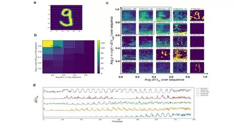 Large Brain Like Neural Networks For AI Are Shown In The Study QS Papers