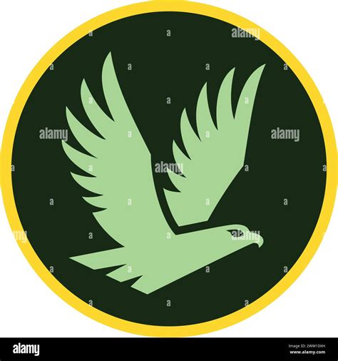 Round Retro Patch With Flying Eagle Air Force Emblem Stock Vector