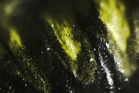 Leitz 16x Uv Microscope Objective Imaging Jmc Scientific Consulting Ltd