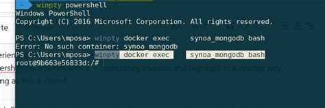 Some Windows PowerShell Text Is Invisible Issue Rprichard Winpty GitHub