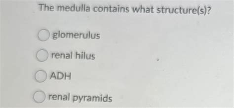 Solved The Medulla Contains What