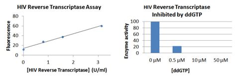 Hiv Reverse Transcriptase Assay