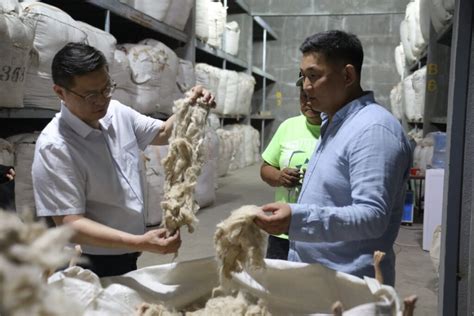 “Бодиос кашмер” брэнд Монгол Улсаа дэлхийд эерэгээр сурталчлах томоохон ажил хийхээр бэлдэж