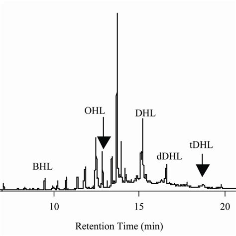 Gc Ms Chromatogram Of An Extract Of Cell Free Supernatant Of Download Scientific Diagram