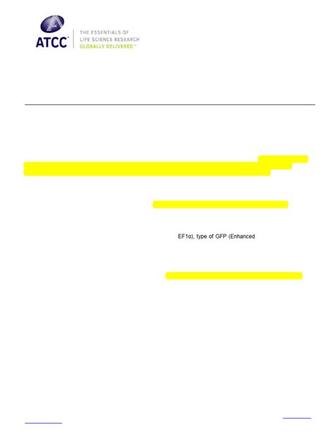 Transfex General Protocol Pdf Transfection Science And Mathematics