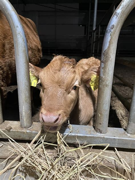 자~ 드가자 주식 에펨코리아