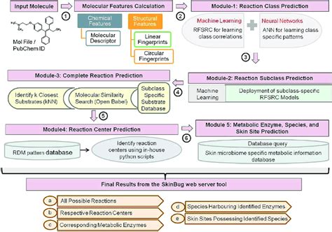 The Prediction Steps And Complete Workflow For Processing Of Any Input