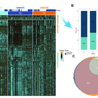 Representative Genes For Each Subtype A Heatmap Of The Expression Of Download Scientific