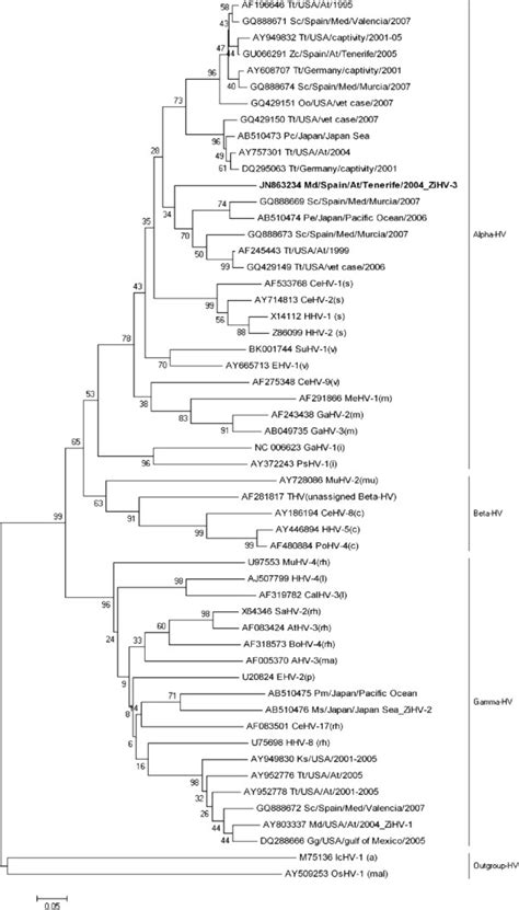 Phylogenetic Analysis Phylogeny Reconstruction Made By The