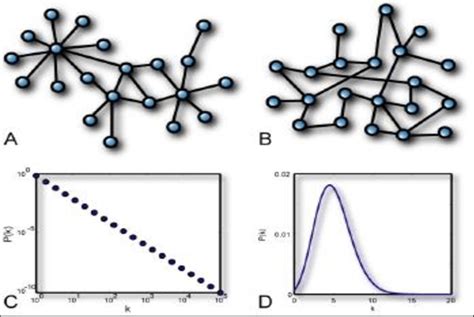 random networks a and c vs scale free networks b and d download