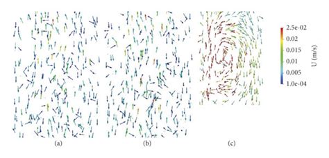 particle velocity vector diagram of different flow velocity of cso a