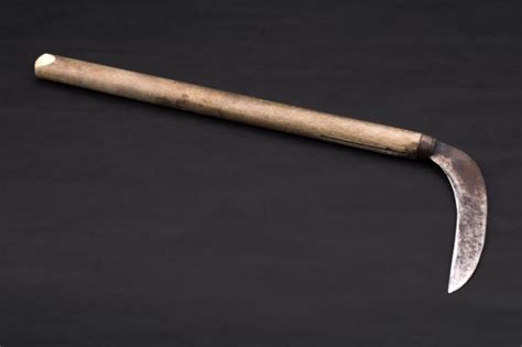 Woman Chops Off Her Rapists Genitals For Evidence Gephardt Daily