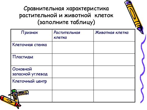 Органоиды клетки презентация онлайн