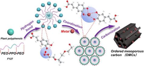 Schematic Representation Of The Metal Ion Assisted Coordination Induced Download Scientific