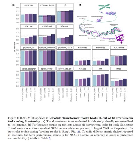 large language models predicts molecular phenotype