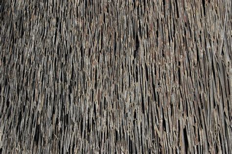 Seamless Thatch Texture