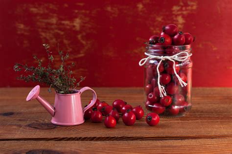 면역 증폭 치료 주입 나무 배경에 항아리에 천연 백리향 민트 허브와 로즈힙 베리 감기와 독감에 대한 스톡 사진 및 기타 이미지 감기와 독감 건강관리와 의술 겨울