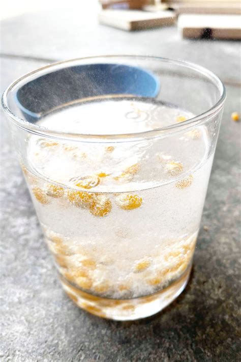 Dancing Popcorn Science Project Mom Life Made Easy