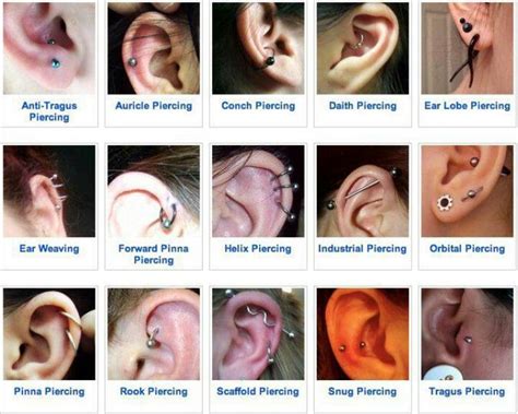 Placement Ear Piercings Types Of Ear Piercings Cool Ear Piercings