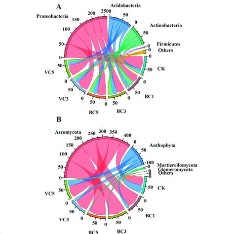 Chord Diagram Of Tomato Microbial Community Distribution A Bacterial Download Scientific