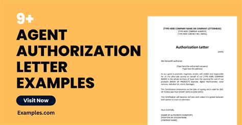 agent authorization letter 9 examples format pdf exam