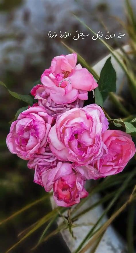 اجمل خلفيات واتس اب طبيعية سوداء