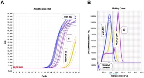 the amplification plot and melting curve was generated during analysis