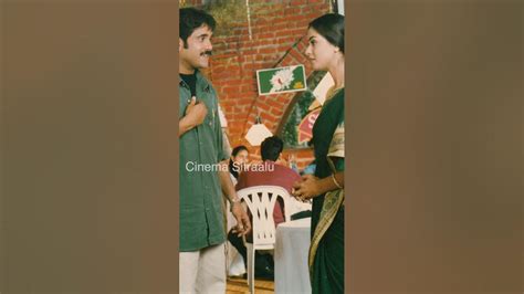 Nagarjuna Simran 25 Years For Nuvvu Vstaavani Youtube