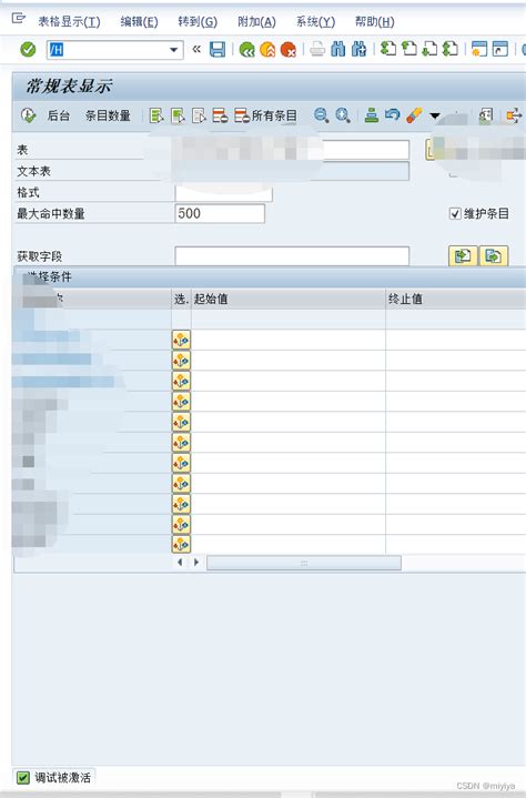 se16n 维护表数据 se16n 维护条目 csdn博客