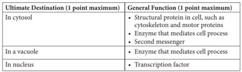 Ap Biology 2 2 Cell Structure And Function Exam Style Questions With Answer Frq Ibdp Myp