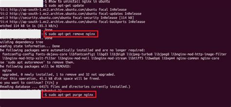 How To Completely Uninstall Nginx Debugbar