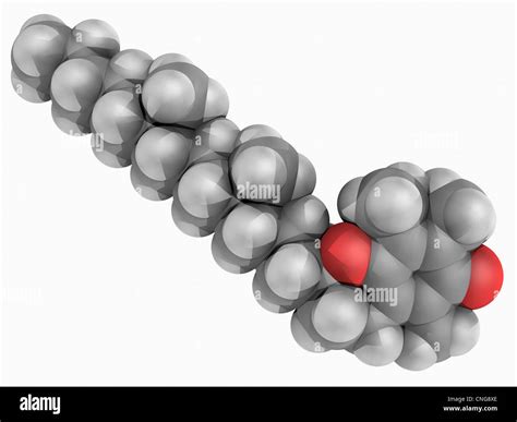 Vitamin E Structure Cut Out Stock Images And Pictures Alamy