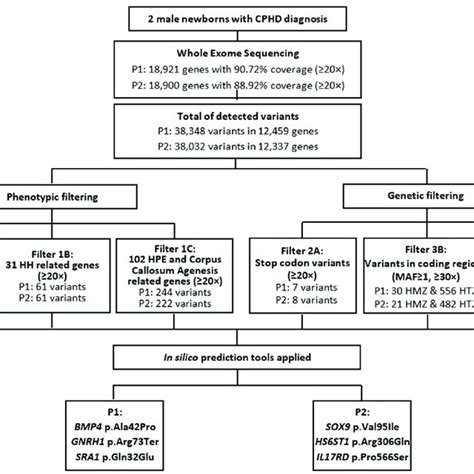 Ngs Analysis Pipeline And Filtering Abbreviations P1 Patient 1 P2
