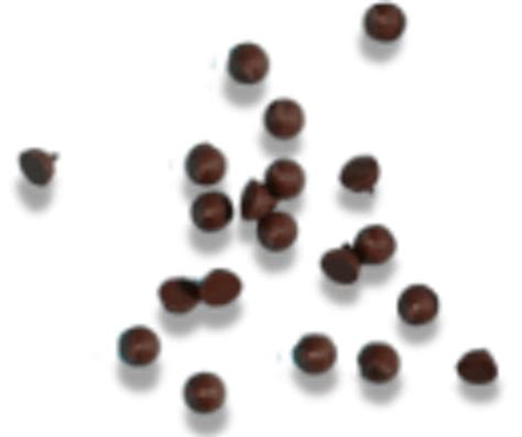 Voyage Foods Cocoa Free Chocolate