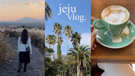 Vlogㅣ제주도 6박7일 신혼여행 브이로그🌴ㅣ제주도 가볼만한곳ㅣ실패 없는 맛집 카페 투어ㅣ가성비 풀빌라 감성숙소 신라호텔 추천ㅣ여행코스ㅣ Youtube
