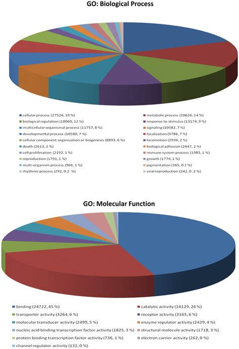 Go Annotation Distribution Of Go Annotation Terms At Level 2 For