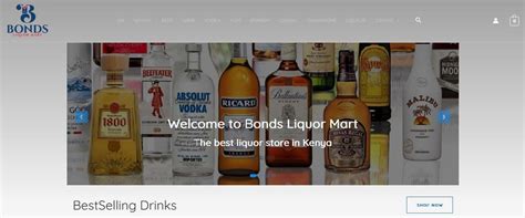 Cost Of A Website In Kenya In 2024 Online Molen