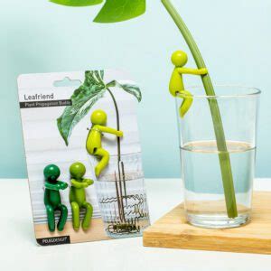 Leafriend Stekjeshouder Set Van 3 Van Bestel Je Online Bij Ditverzinjeniet