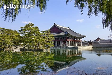 가을 연못 소나무 수양버들 경회루 경복궁 종로구 서울 이미지 A12697204 게티이미지뱅크