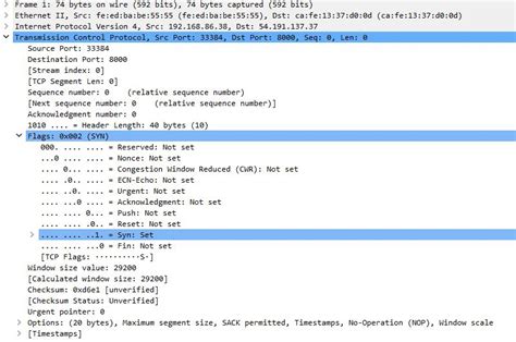 FBCTF Write Up Misc Evil Scapy Intro R YquazID