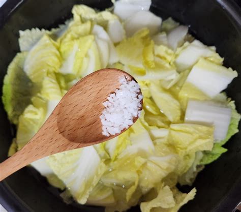 고소하고 맛있는 배추볶음 배추나물 만들기알배추 활용