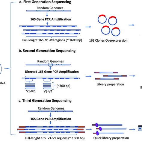 Pdf Computational Methods For 16s Metabarcoding Studies Using