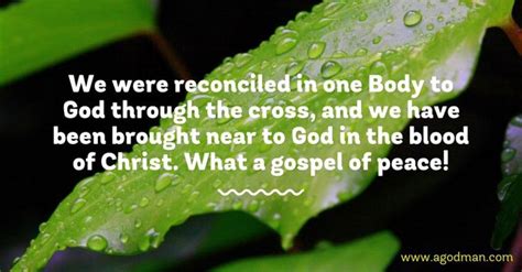 We Were Reconciled In One Body To God Through The Cross And We Have