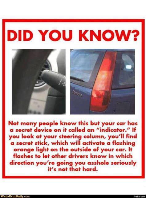 For Everyone Obsessed With Turn Signals