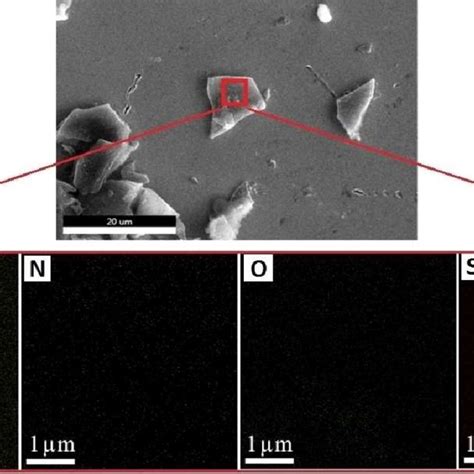 SEM Image Of The C SiOx Sample And The Corresponding EDS Mapping Download Scientific Diagram